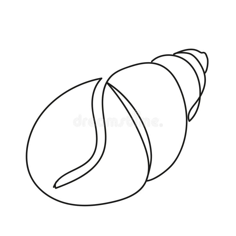 Hand Drawn Outline Marine Illustration of Seashell Stock Vector ...