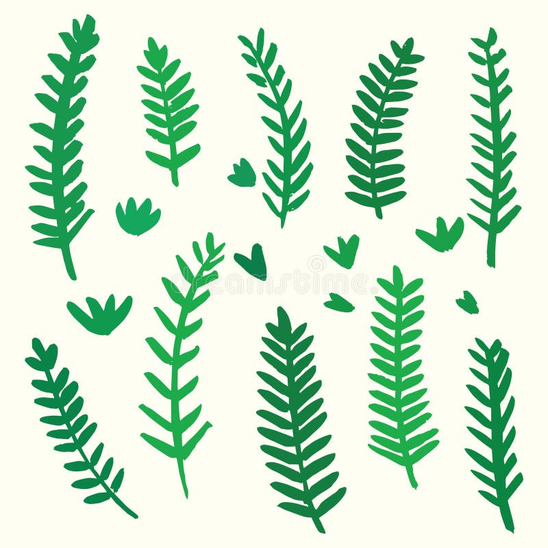 Hand Drawn Palm Tree Leaves Set Stock Vector - Illustration of organic ... Hand Drawn Palm Tree Leaves Set Stock Vector - Illustration of organic ...