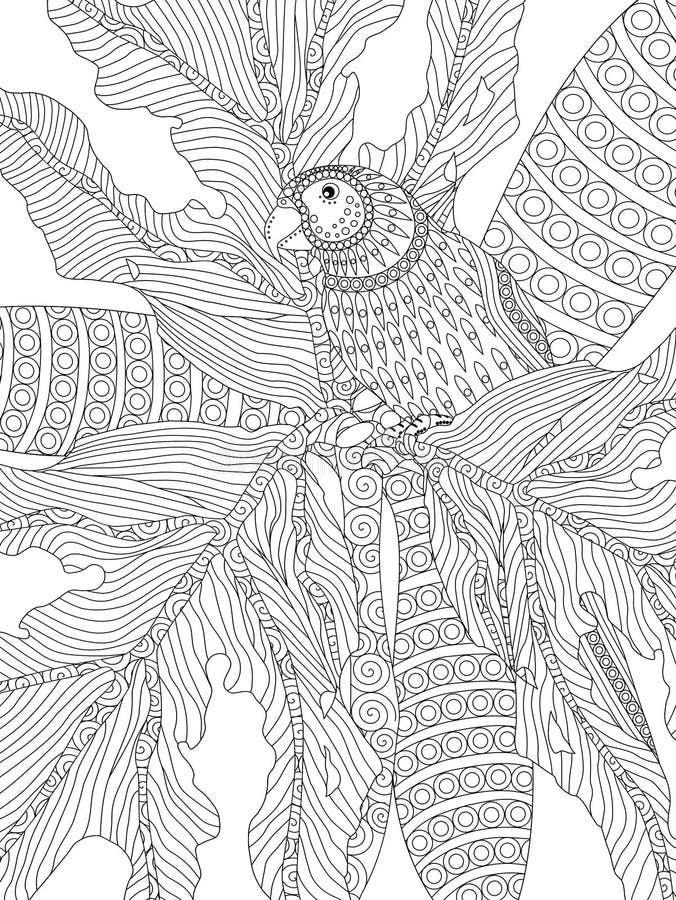 Hand Drawn Parrot Adult Colouring Stock Illustration - Illustration of ...