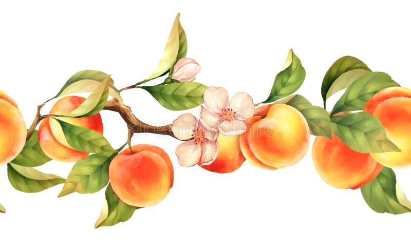 Hand-drawn Pattern, Seamless Fruit Border of Peaches and Leaves Stock ...