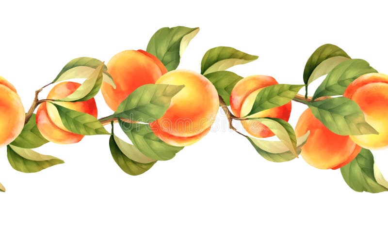 136 Fresh Peaches Border Stock Photos - Free & Royalty-Free Stock ...