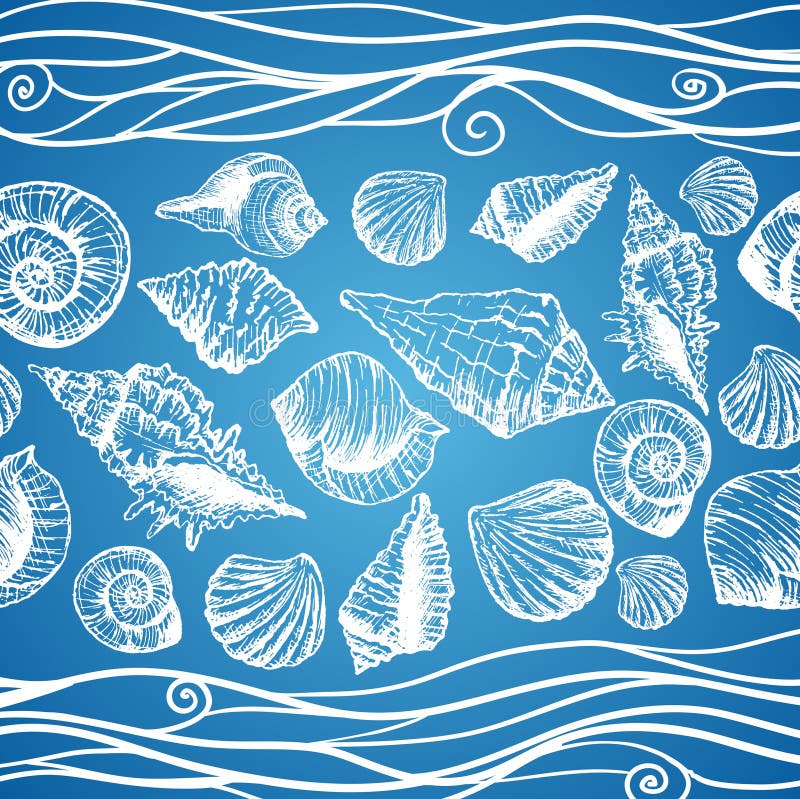 Seashell Vector Stock Illustrations – 38,521 Seashell Vector Stock ...