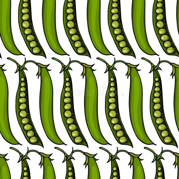 Hand drawn pea pattern ilustración del vector. Ilustración de crudo ...