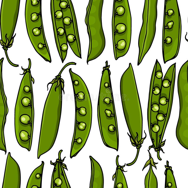 Hand drawn pea pattern stock vector. Illustration of drawn - 215670059
