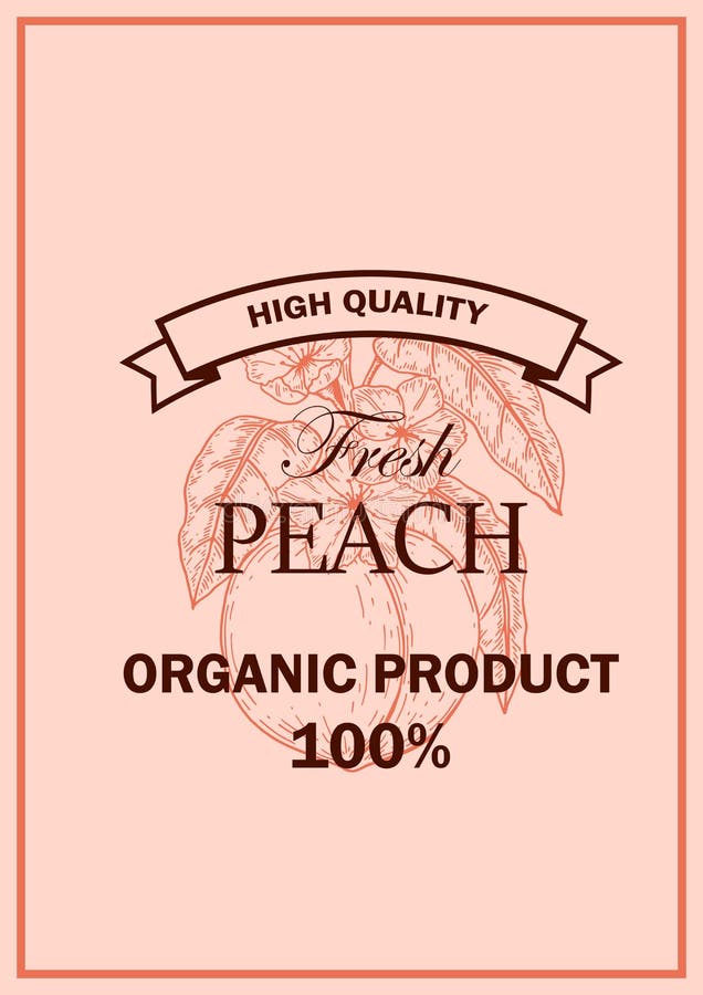Hand Drawn Peach Design. Vector Illustration in Sketch Style Stock ...
