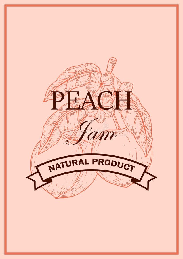 Hand Drawn Peach Design. Vector Illustration in Sketch Style Stock ...
