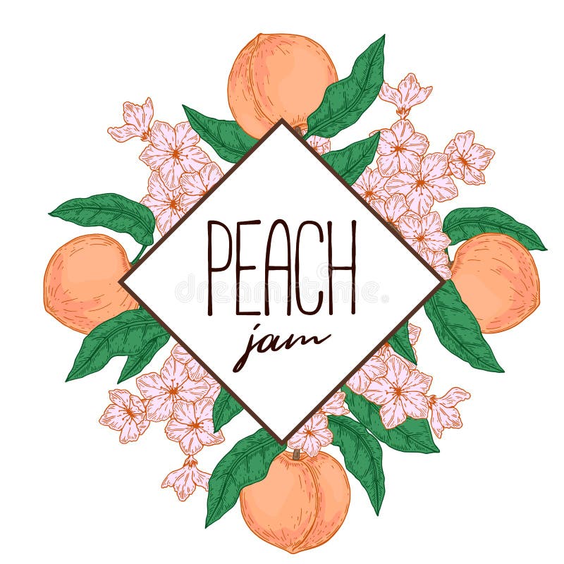 Hand Drawn Peach Frame. Vector Illustration in Sketch Style Stock ...