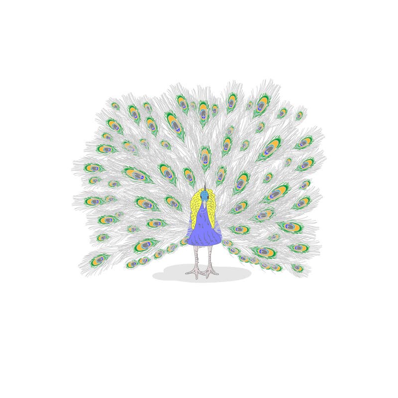 Licentious Colored Tail Stock Illustrations – 1 Licentious Colored Tail ...