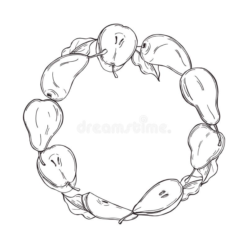 Pears. Vector illustration stock vector. Illustration of healthy ...