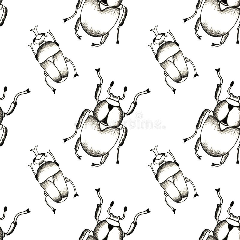 Beetles Shell Stock Illustrations – 52 Beetles Shell Stock ...
