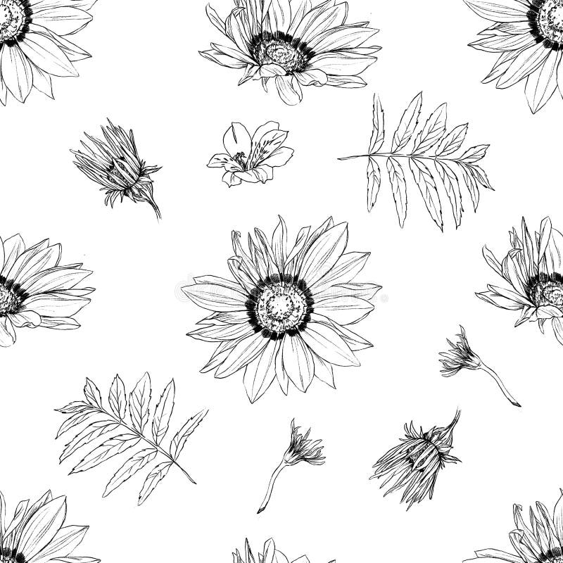 Hand Drawn Pencil Graphic Illustration Seamless Pattern of Vintage ...