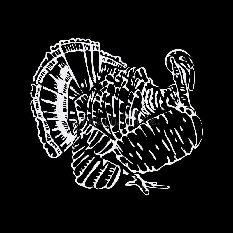 Wild Turkey Stencil