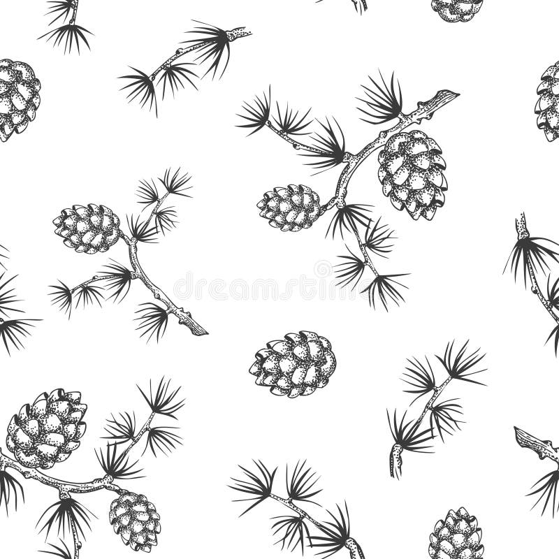 Hand Drawn Pine Branch Seamless Pattern on White Background, Cone ...