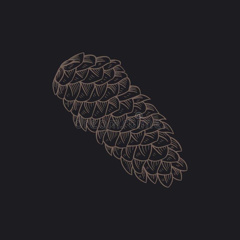 Hand Drawn Pine Cone on Black Background Stock Illustration ... Hand Drawn Pine Cone on Black Background Stock Illustration ...