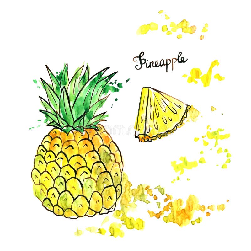 Hand drawn pineapple stock illustration. Illustration of brush - 75630164