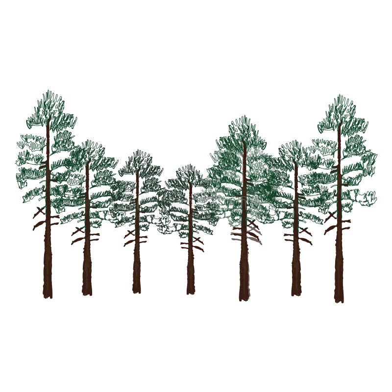 Tall Pines Stock Illustrations – 138 Tall Pines Stock Illustrations ...
