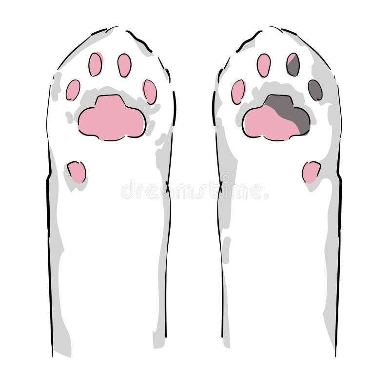 Hand Drawn Pink Cat Paw Print Vector Illustration Stock Vector ...