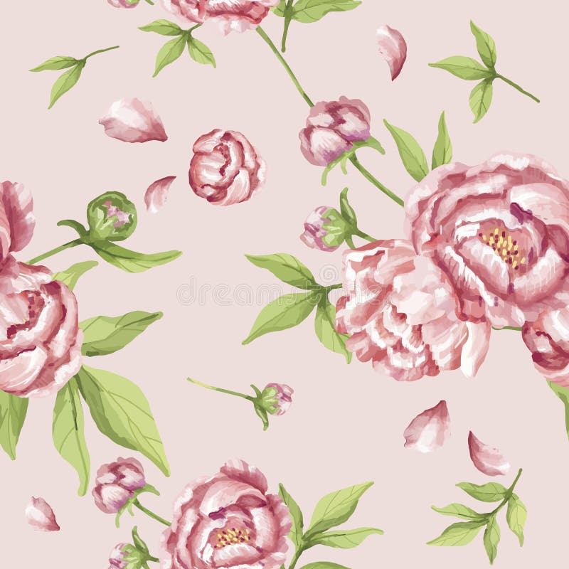 Hand Drawn Pink Peony Pattern Stock Photo - Image of peony, blossom ...