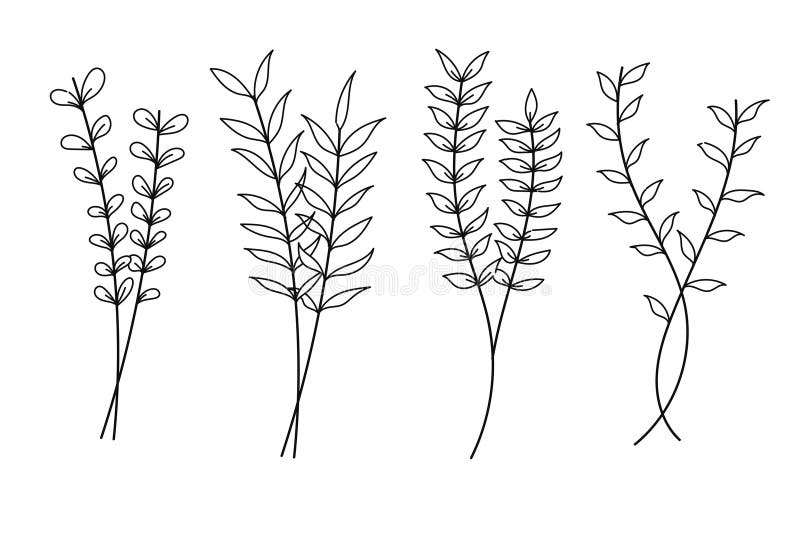 Hand-Drawn Plant Line Art Collection.Vector Illustration Stock Vector ...