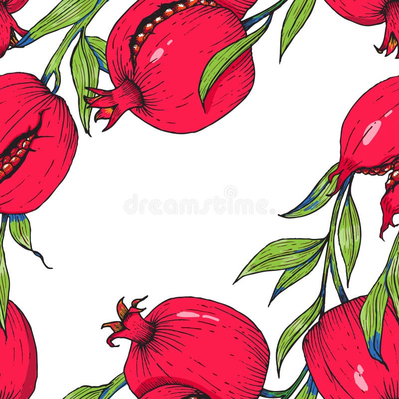 Hand Drawn Pomegranate Frame Stock Vector - Illustration of food, fruit ...