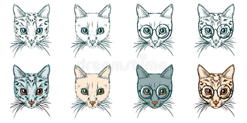 Graphics cats set stock vector. Illustration of typography - 178424985