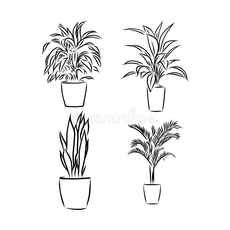 Hand Drawn Pot Plants Vector Set. Indoor Plants Vector Sketch ...