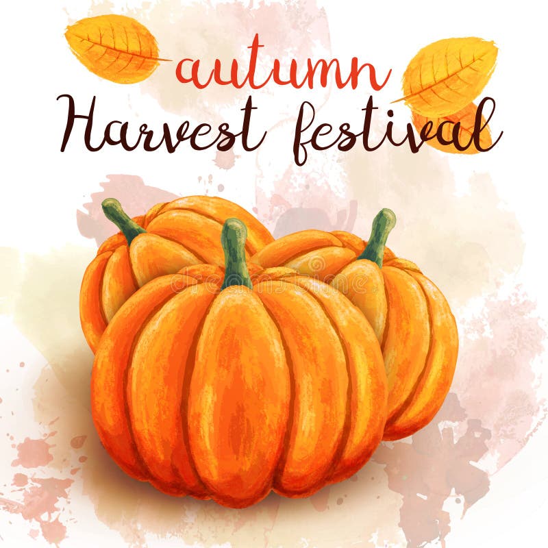 Hand drawn pumpkin stock vector. Illustration of beautiful - 103609035