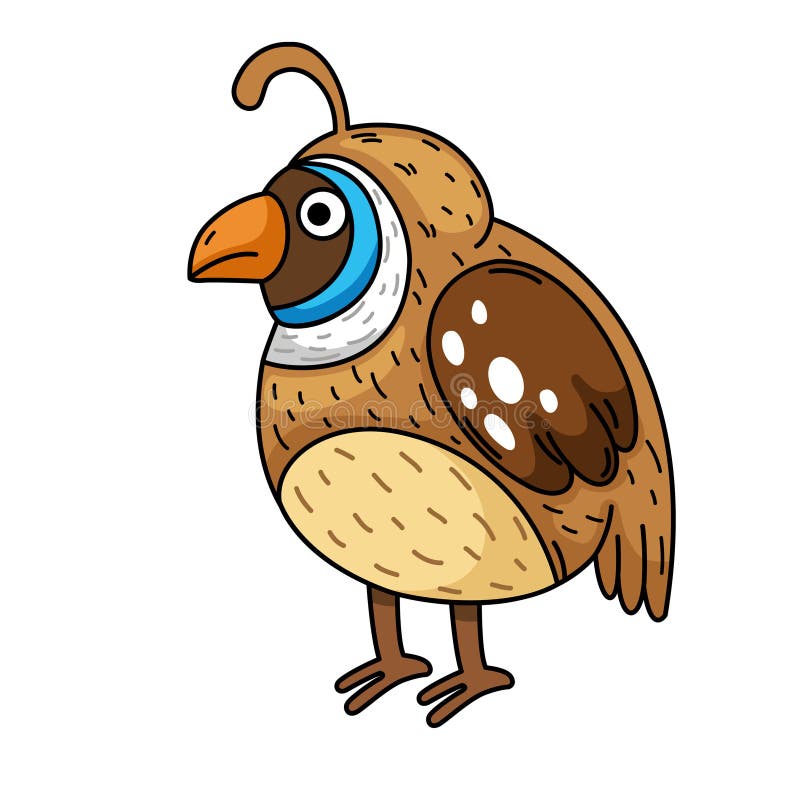 Hand Drawn Quail Character Illustration Stock Vector - Illustration of ...