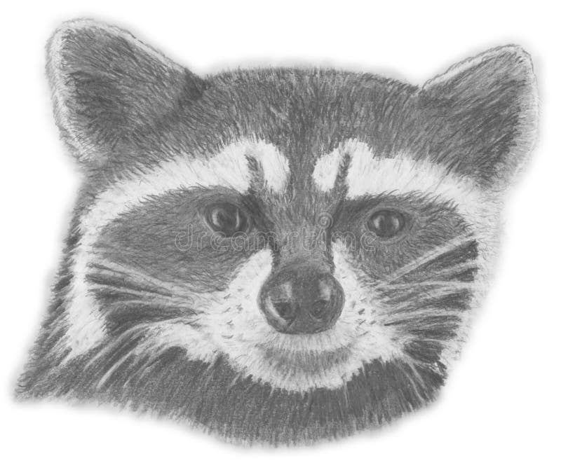 Animal Graphite Pencil Stock Illustrations – 232 Animal Graphite Pencil ...