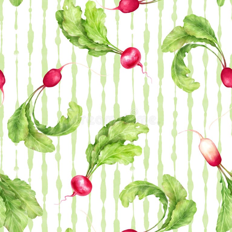 Hand-drawn Radish with Leaves, Vegetable Seamless Pattern. Striped ...