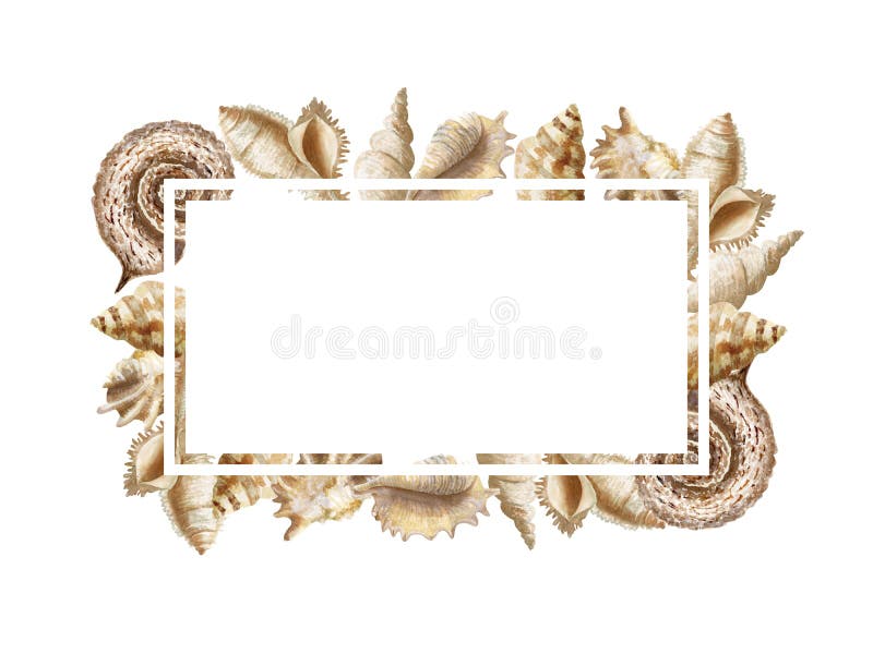 Watercolor Rectangular Frame with Seashells and Place for Text Stock ...