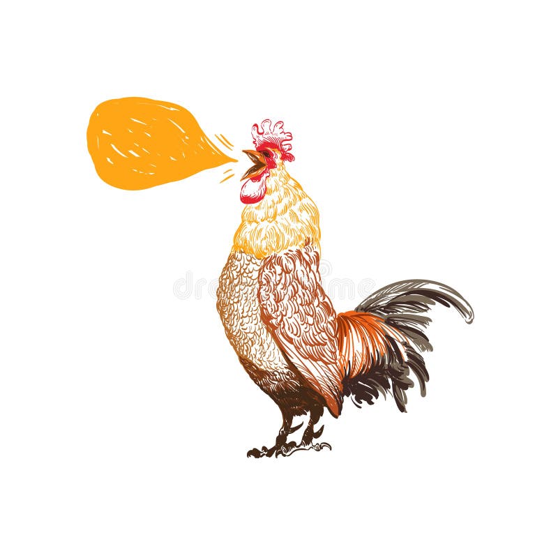 Hand Drawn Rooster Sketch. Vector Illustration Stock Vector ...