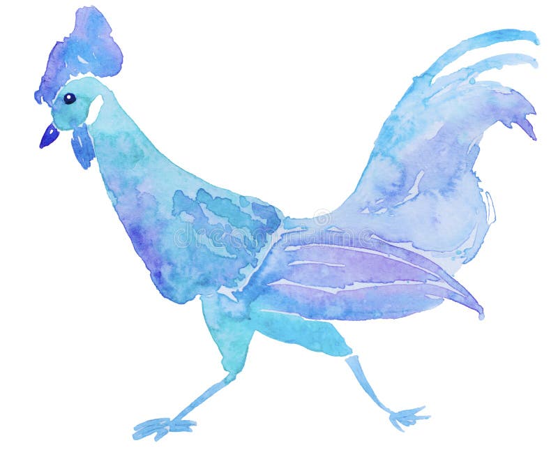 Hand drawn Rooster stock photo. Illustration of n240dpi - 79697924