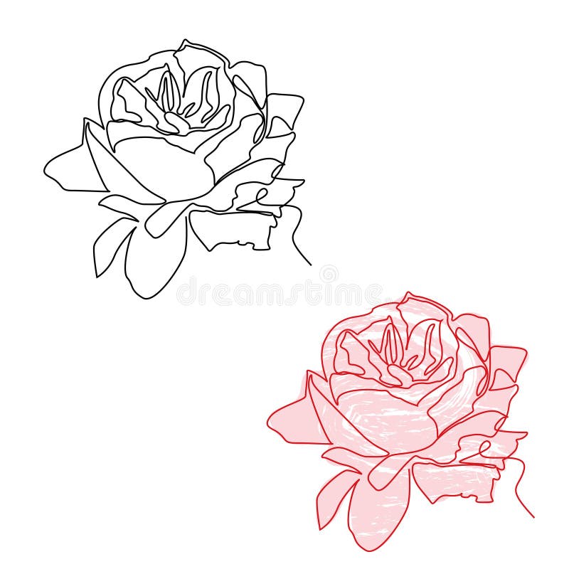 Rose contour stock vector. Illustration of beautiful - 10486299