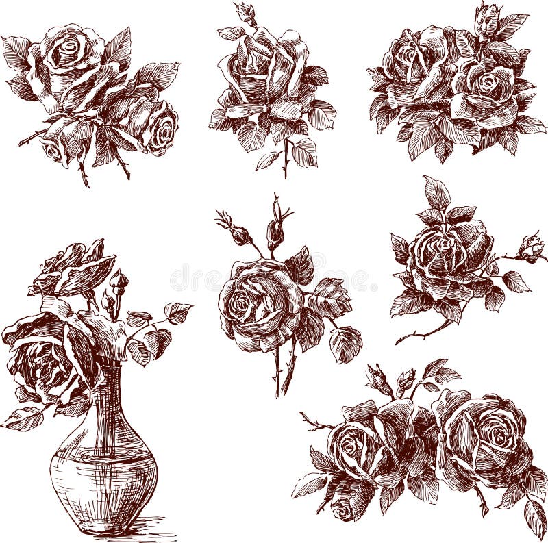 Hand drawn roses stock vector. Illustration of abstract - 46231984