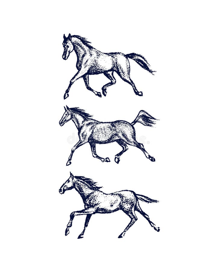 Hand drawn running horses stock vector. Illustration of motion - 96931445