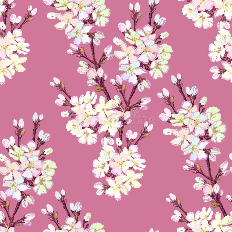 Hand drawn sakura design. stock vector. Illustration of garden - 66842395