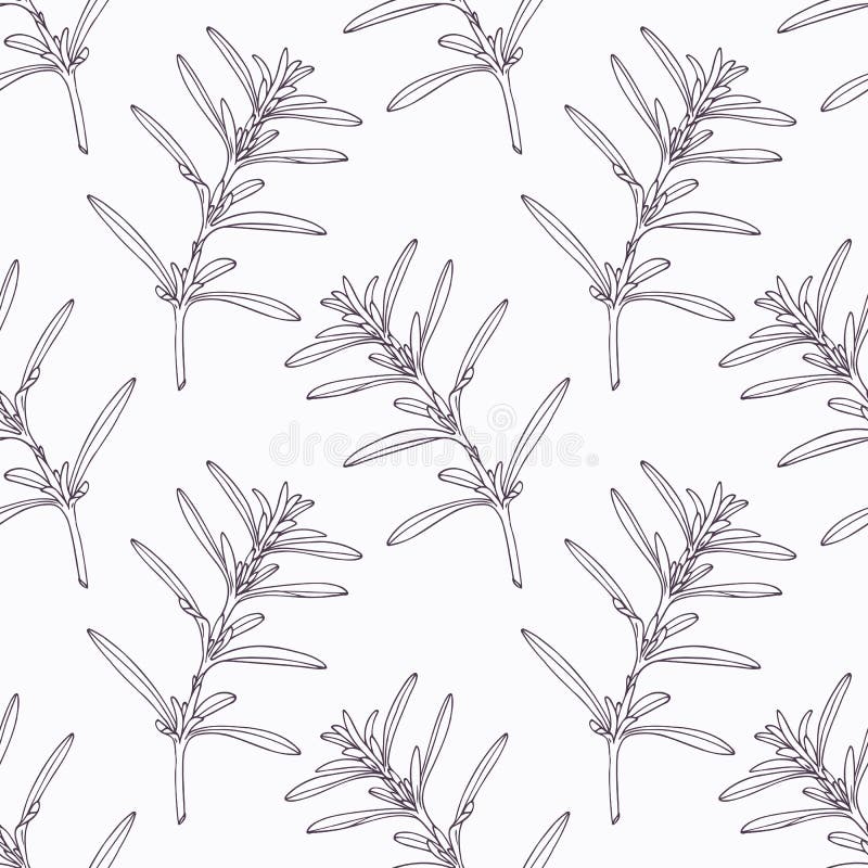 Hand Drawn Savory Branch Outline Seamless Pattern Stock Vector ...
