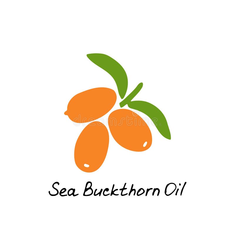 Hand Drawn Sea Buckthorn Logo for Print and Web. Berry Icon and ... Hand Drawn Sea Buckthorn Logo for Print and Web. Berry Icon and ...