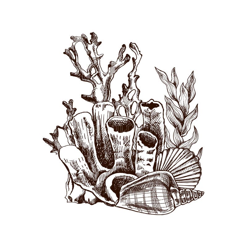 Hand-drawn Sea Composition from Seashells, Algae, Shells, Corals. Black ...