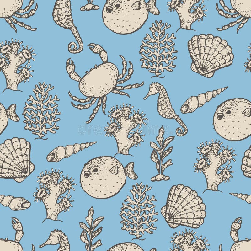 Hand Drawn Sea Life Illustration. Sketch Seamless Pattern Stock Vector ...