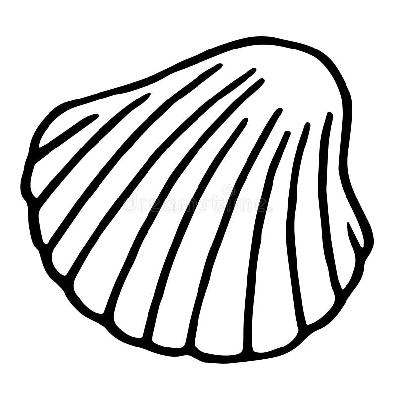 Scallop Shellfish. Tropical Underwater Shell. Vector Illustration Stock ...