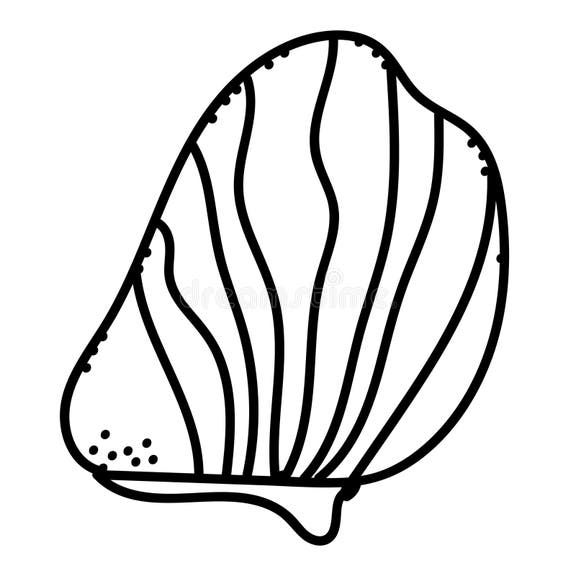 Hand-drawn Sea Shell Outline in Clean Black and White Vector Format ...
