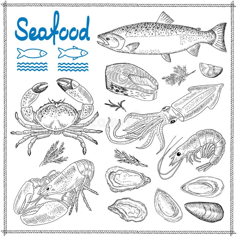 Seafood set sketch stock vector. Illustration of doodle - 86190116