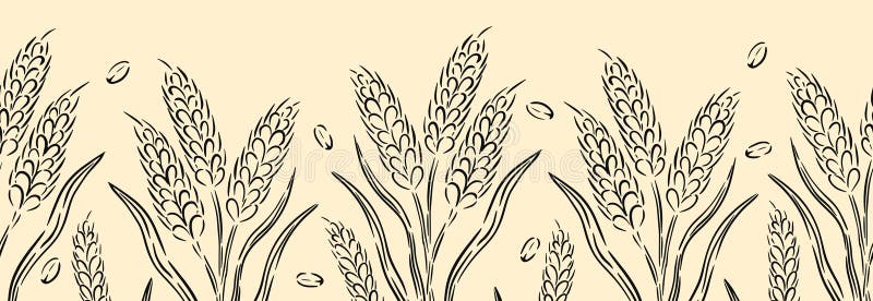 Hand Drawn Seamless Border Design Featuring Elegant Wheat Sheaves and ...