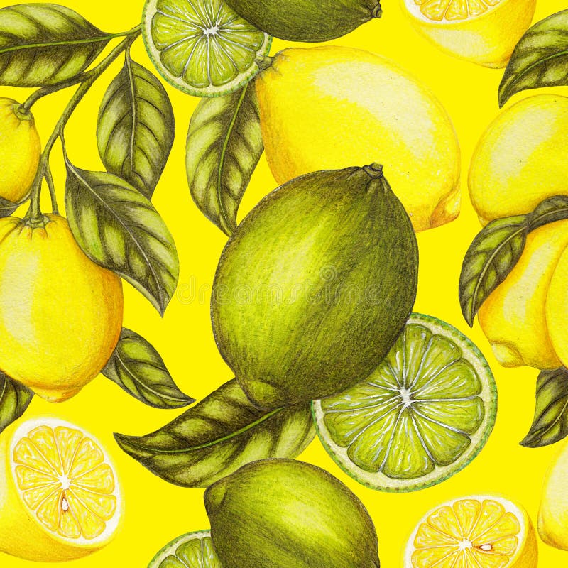 Hand Drawn Seamless Citrus Pattern Stock Illustration - Illustration of ...