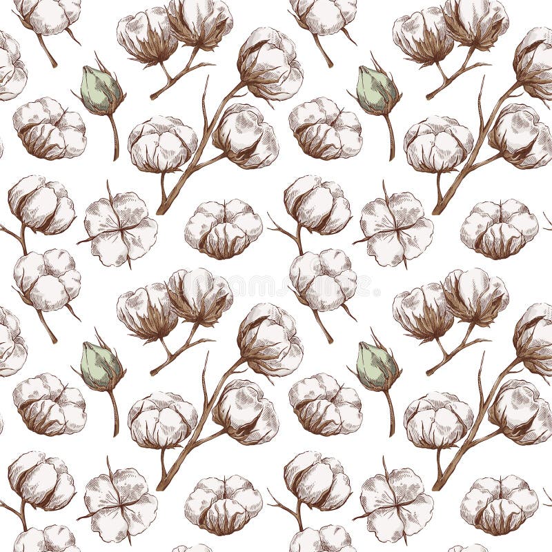 Seamless Cotton Pattern on White Background. Ideal for Wrapping Paper ...