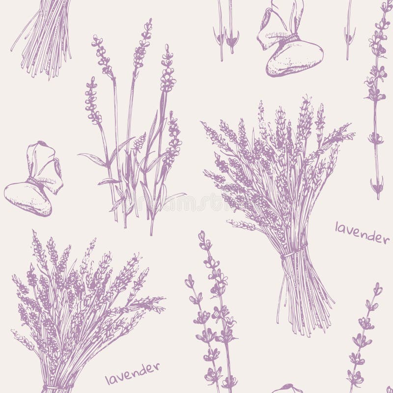 Lavender hand drawn set stock vector. Illustration of organic - 28102115