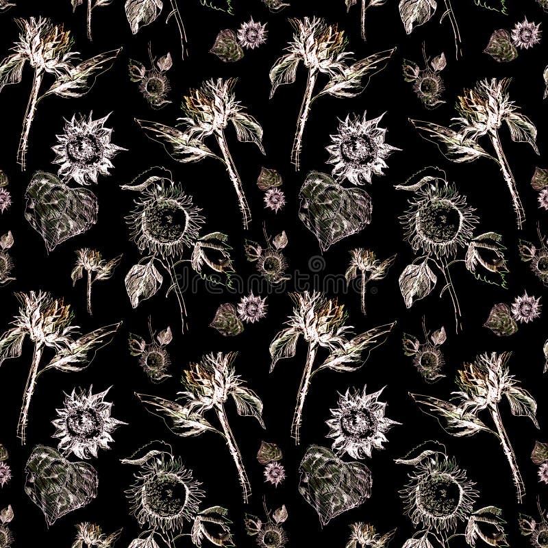 Sunflower Hand Drawn Ink Pen Illustration Stock Illustrations 205
