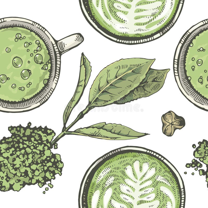Hand-drawn Seamless Pattern Matcha Drinks and Leaves. Stock Vector ...
